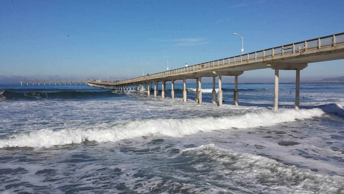 William Brock, PhD – Consultant / Psychologist